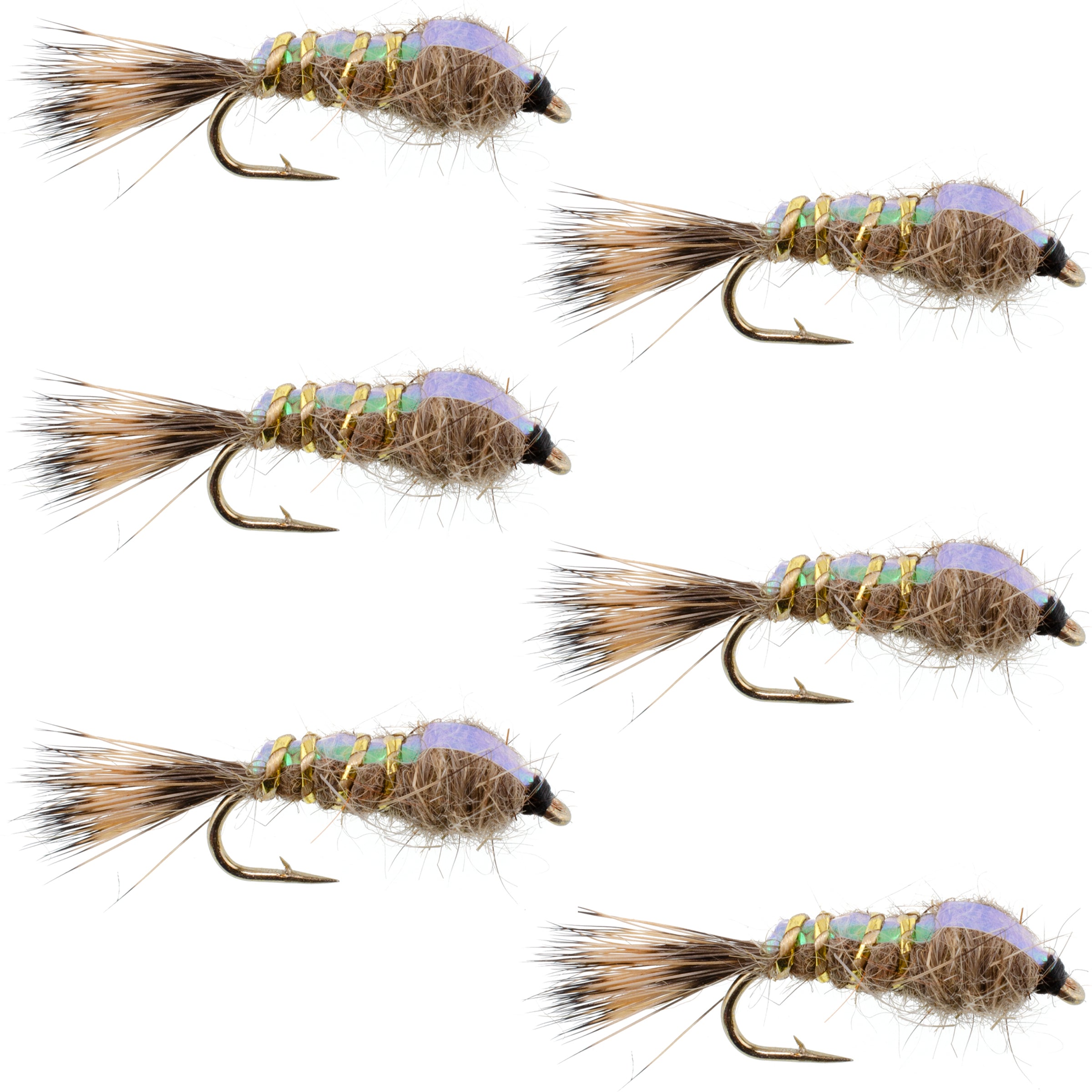 Classic Weighted Flashback Gold Ribbed Hares Ear Nymph - Set of 6 Flie