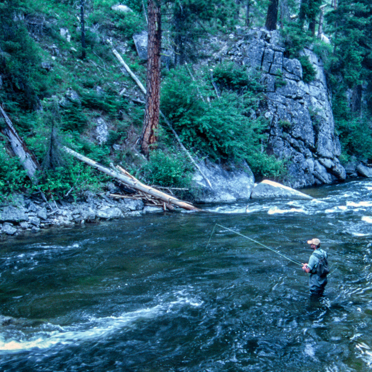 The Fly Fishing Place Online Fly Shop | Premium Discount Fishing Flies